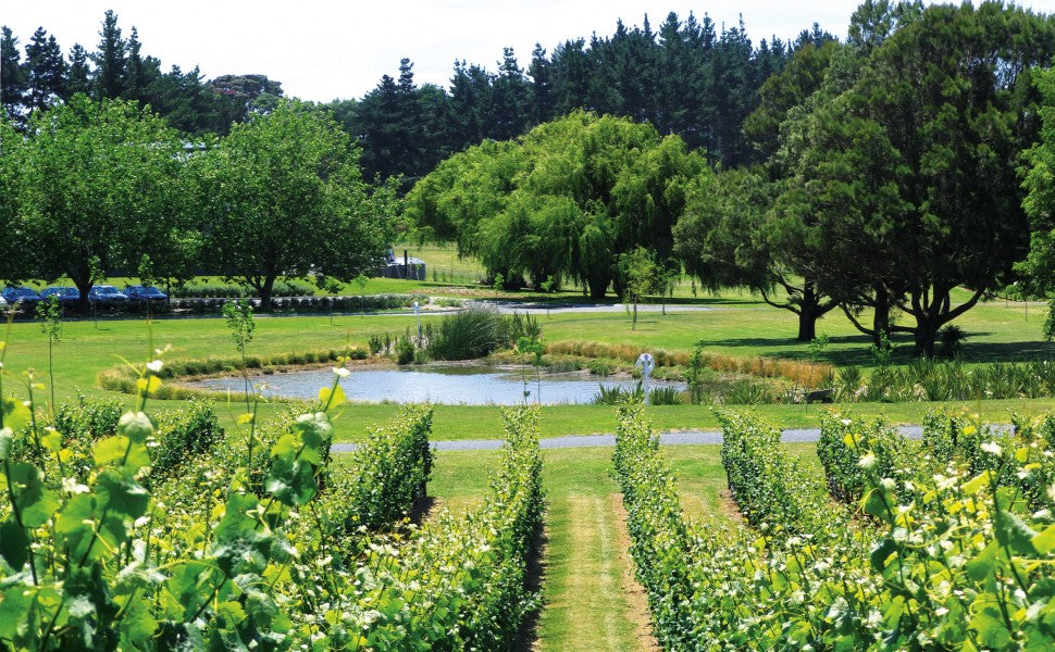 Auckland – Villa Maria Wines